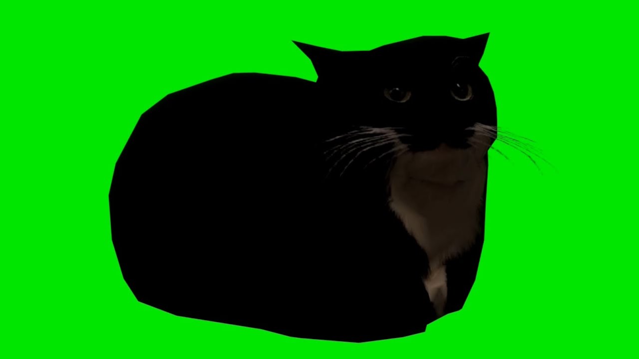 Cat green screen - YouTube