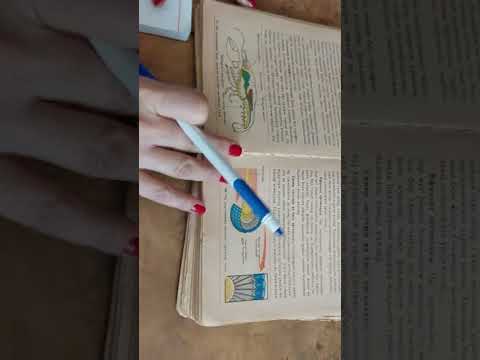 Buğumayaqlılar tipi