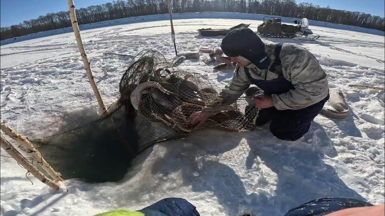 РЫБАЛКА УДАЛАСЬ! 300КГ РЫБЫ ЗА ОДНУ ПРОВЕРКУ! ФИТИЛЬ НА РЕКЕ #НАЛИМ # ...