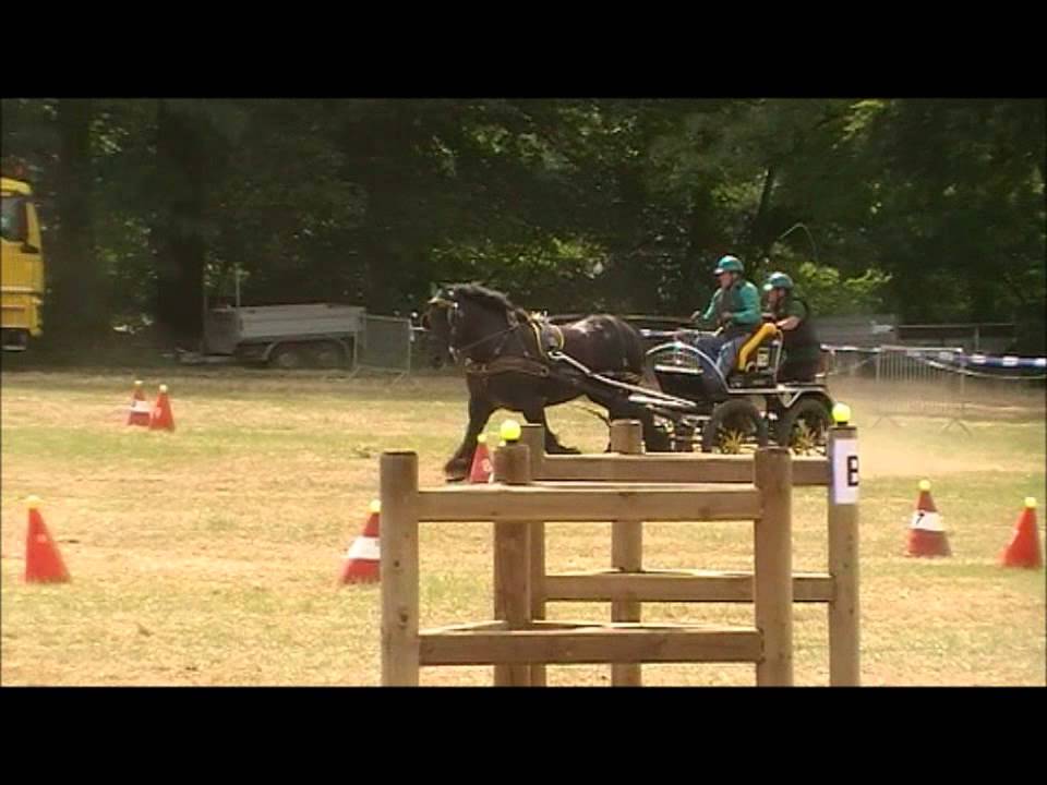 DKT - Luc Thijs - Linden - 14/06/2015 - YouTube