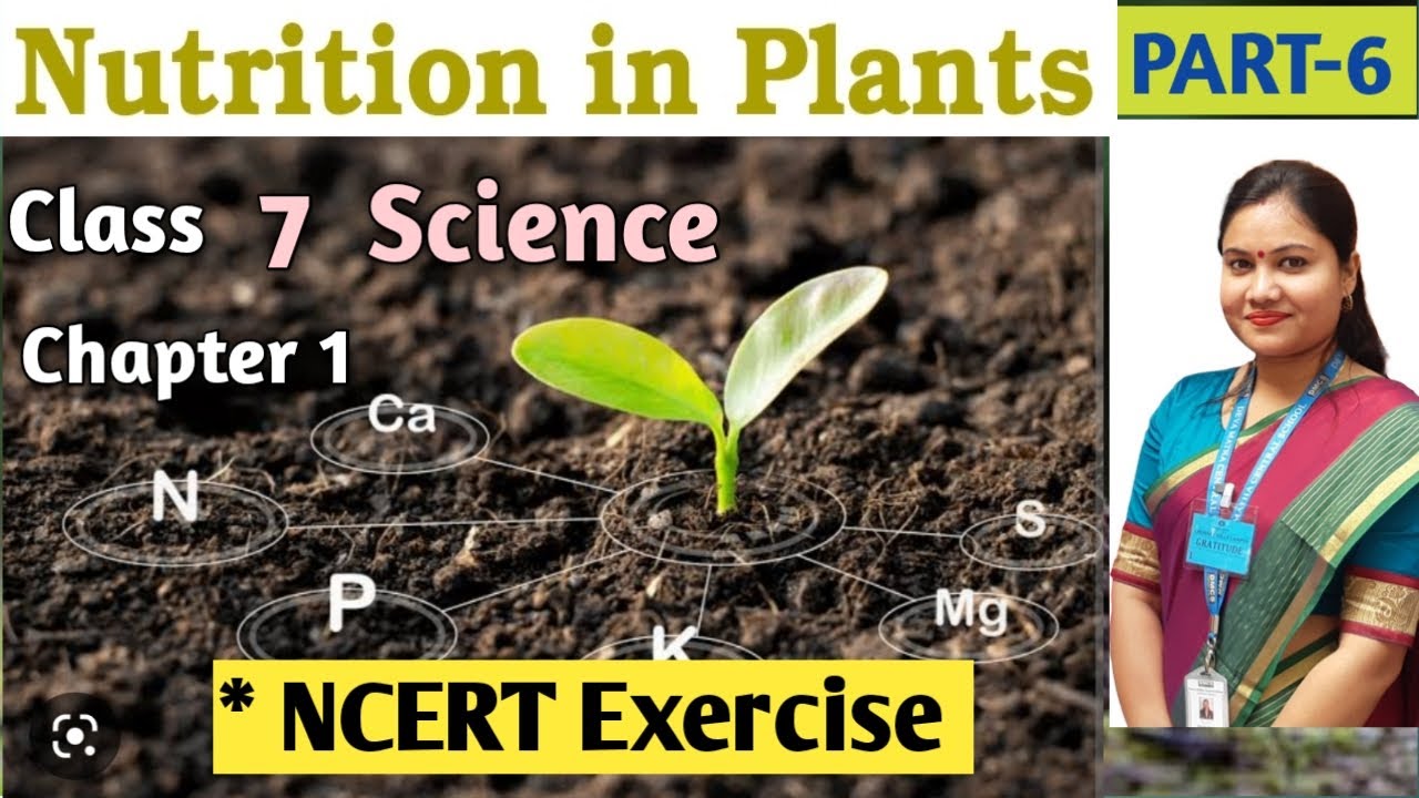 Class 7 Science Nutrition in Plants | CBSE Science Class 7 Chapter 1 ...