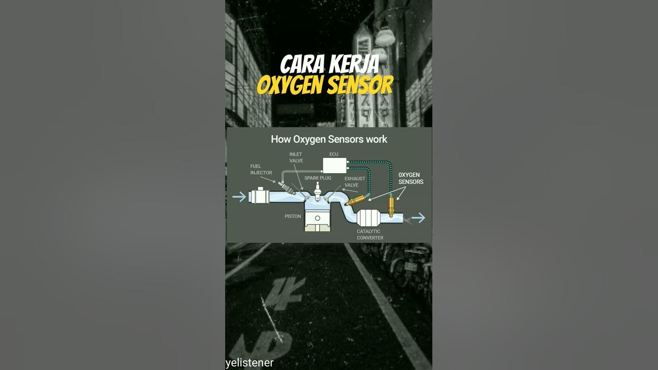 CARA KERJA OXYGEN SENSORS #oxygensensor #sensor #vidioshort - YouTube