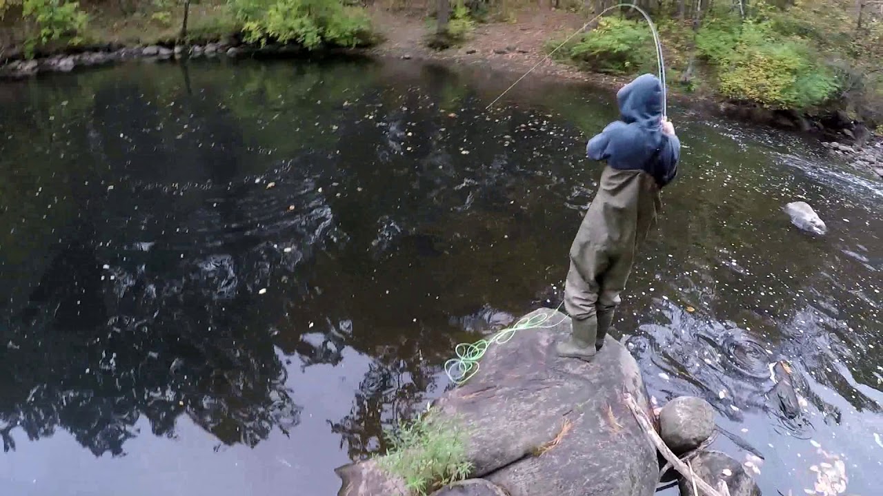 River Bum Series: Vlog #4 (Atlantic Salmon) - YouTube