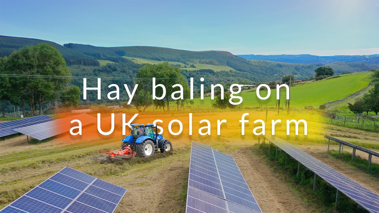 Hay baling on a UK solar farm | Lightsource bp - YouTube