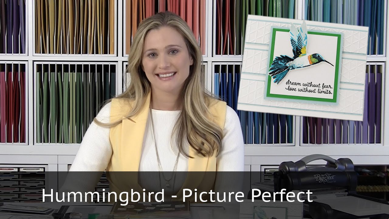Hummingbird - Picture Perfect Stamp Set from Stampin Up! - YouTube