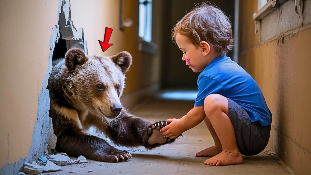 Bear Cub Got Stuck in the Wall and Crying—What This Human Baby Did Was ...