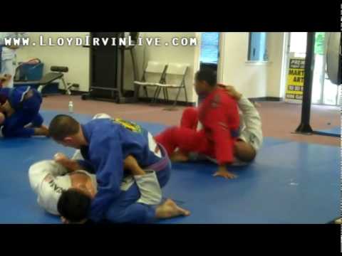 Team Lloyd Irvin Sunday Brazilian Jiu-Jitsu (BJJ) Competition Team ...