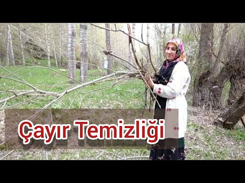 Çayır Temizliği - DOĞA - Köy - Temizlik - Bay