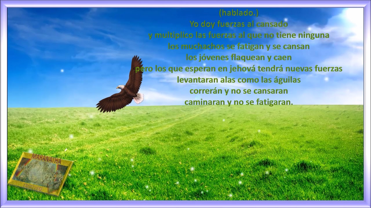 Cuando Dios Calla - Diana Mendiola - Letra - YouTube