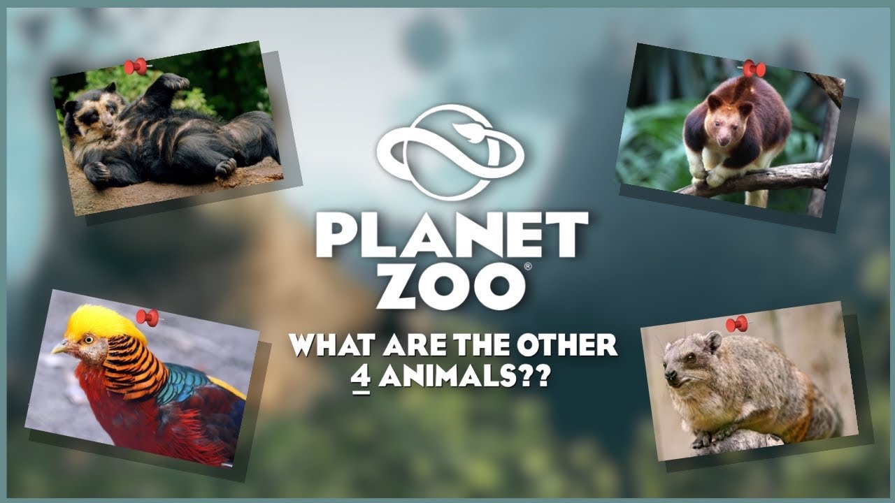 What are the other 4 animals? | Planet Zoo DLC Speculation - YouTube