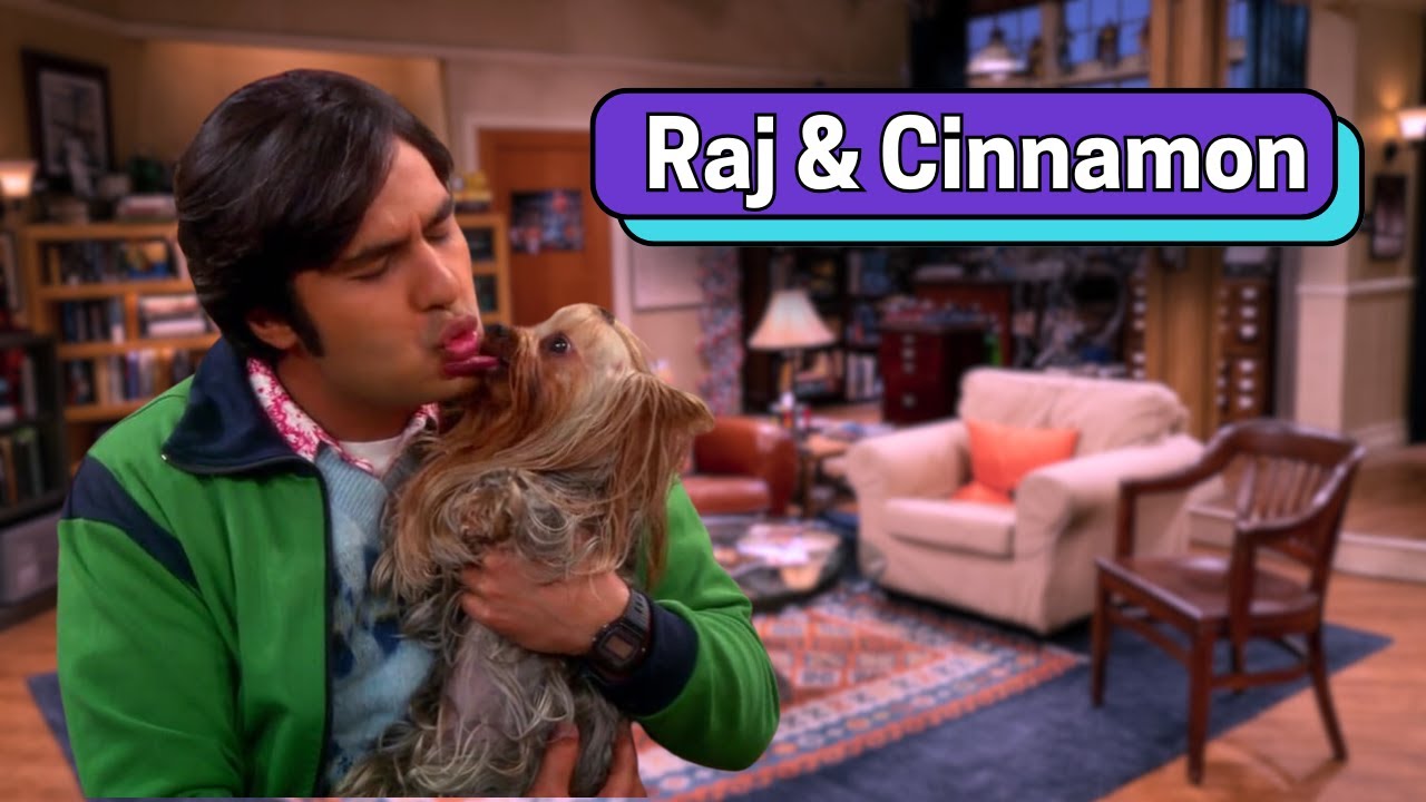 Raj & Cinnamon - Rating Dog Owners - The Big Bang Theory - YouTube
