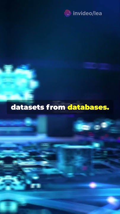Sql The Database Language Coding Datastructuresandalgorithmsinpython Computerscience Youtube
