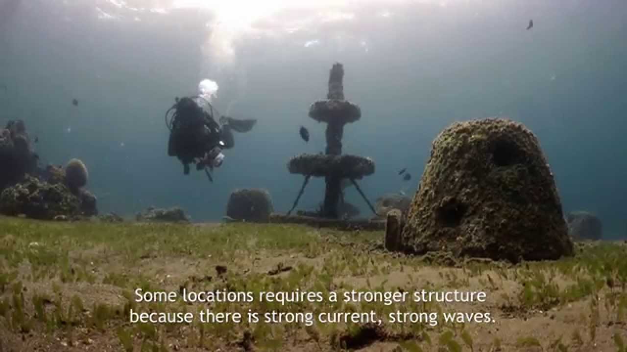 Ocean Man - A Man's Vision and Devotion to the Ocean - YouTube