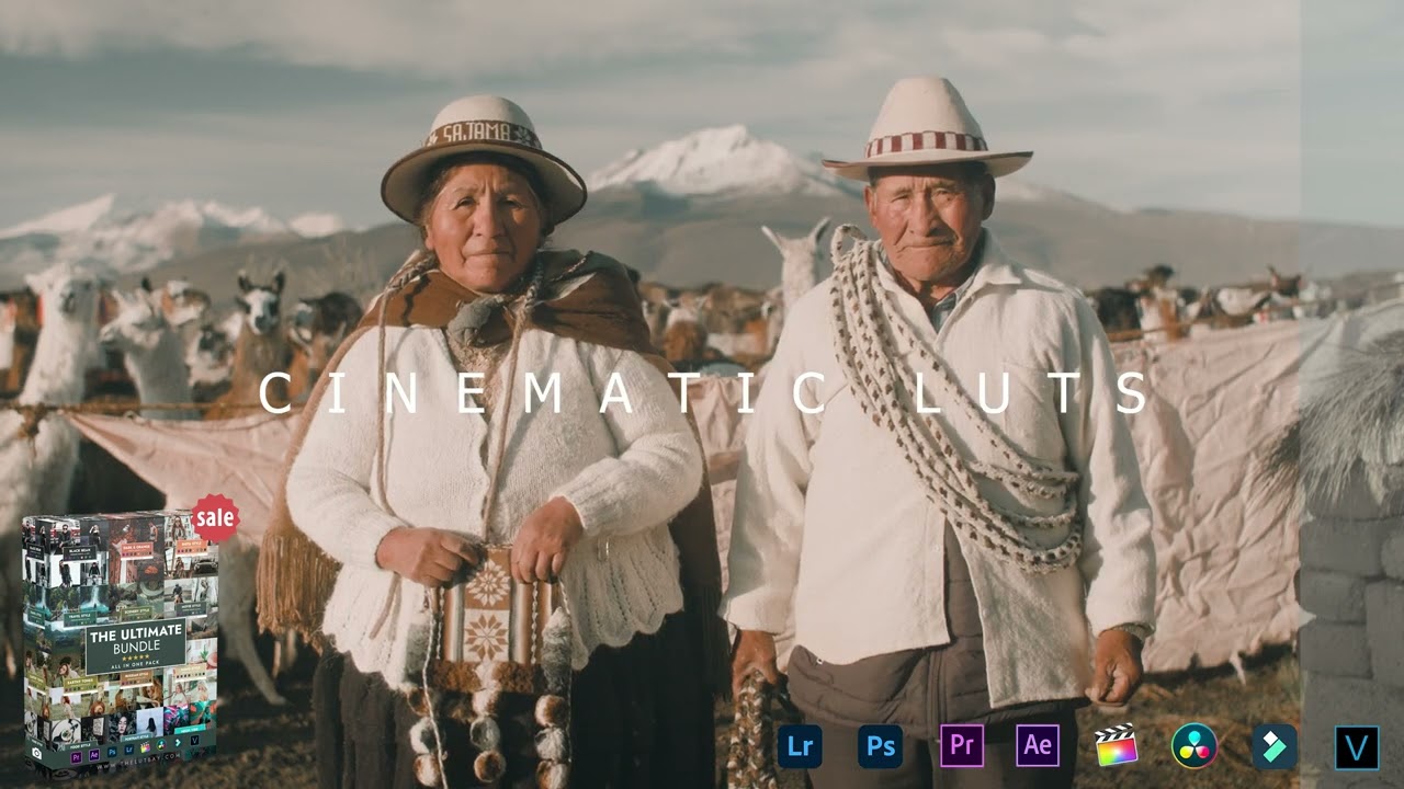 The Ultimate Bundle - One Click to Cinematic Color - YouTube