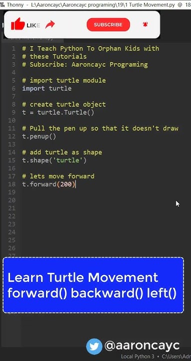 Python Turtle Movement - Move Turtle In Python #shorts #coding #programming - YouTube