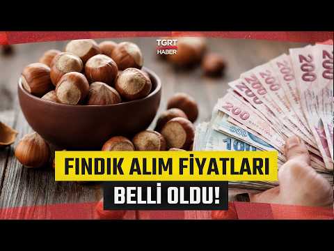 TMO 2026 Fındık Fiyatlarını Duyurdu! İşte Kabuklu ve Yaş Fındık Kilo Fiyatı Liste Fiyatı