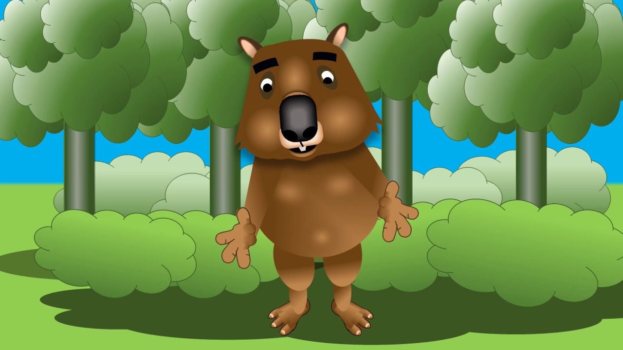 Wobbly Wombat - YouTube