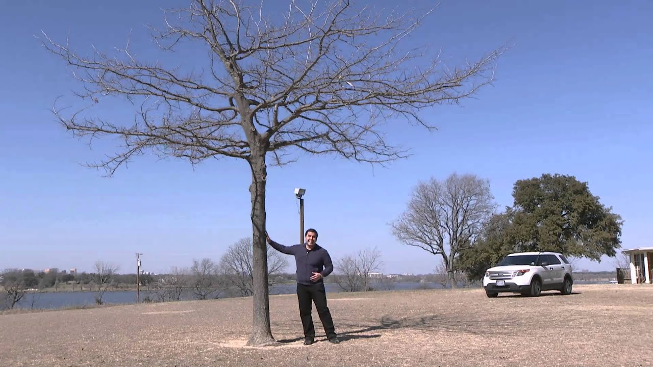 Lightning hitting Tree - YouTube