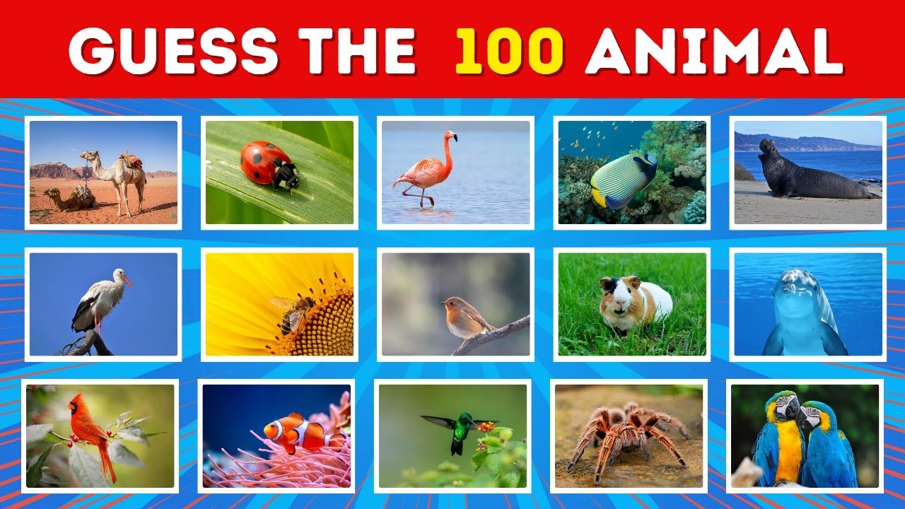 Guess the 100 Animals in 3 Seconds! - Impossible Animal Quiz - YouTube