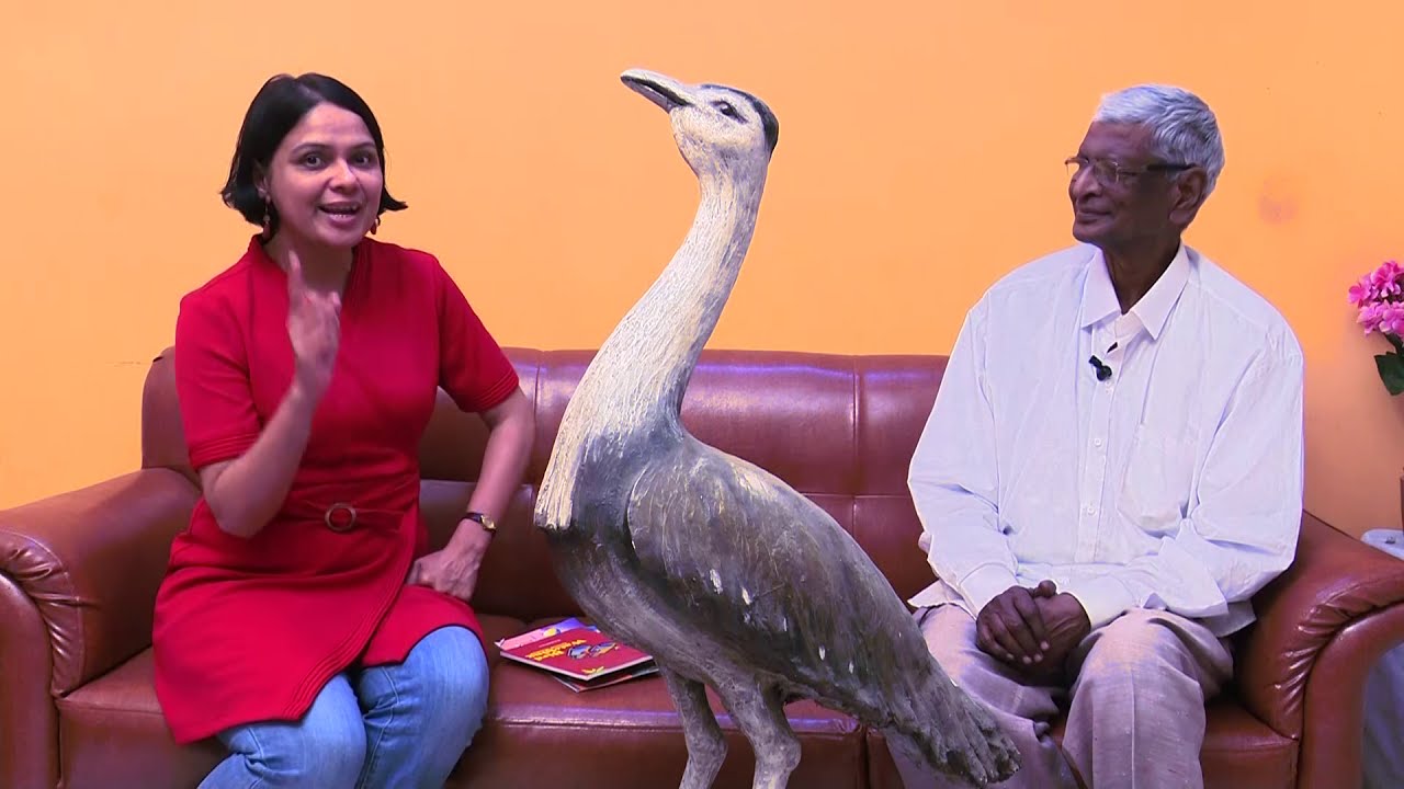 Great Indian Bustard Maldhok Nannaj Solapur conversation with B. S ...