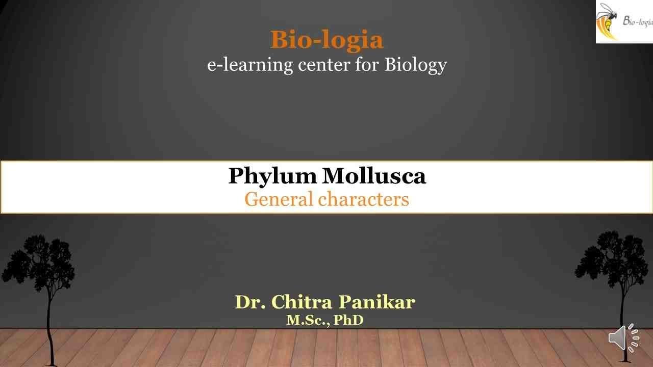 Phylum Mollusca: Introduction and General characters - YouTube