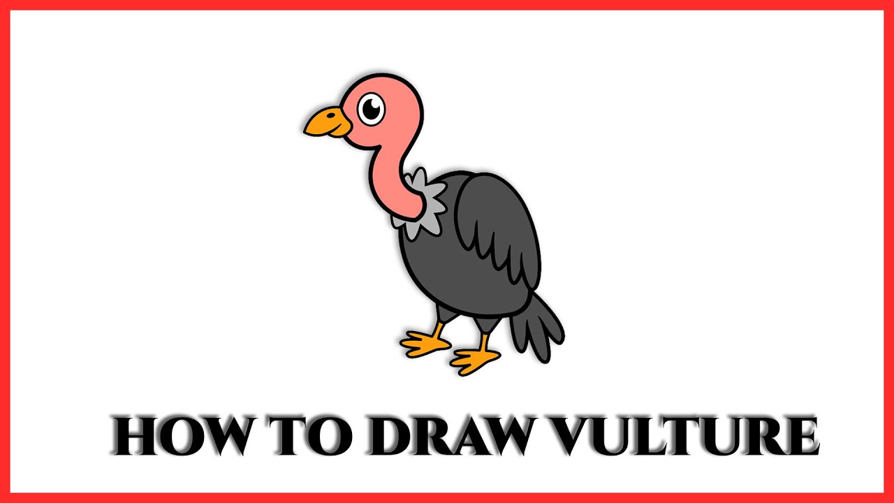 How To Draw Vulture Drawing video - YouTube