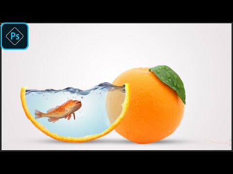 How to make the Photo Fish Manipulation Effect in Photoshop : Photoshop ...