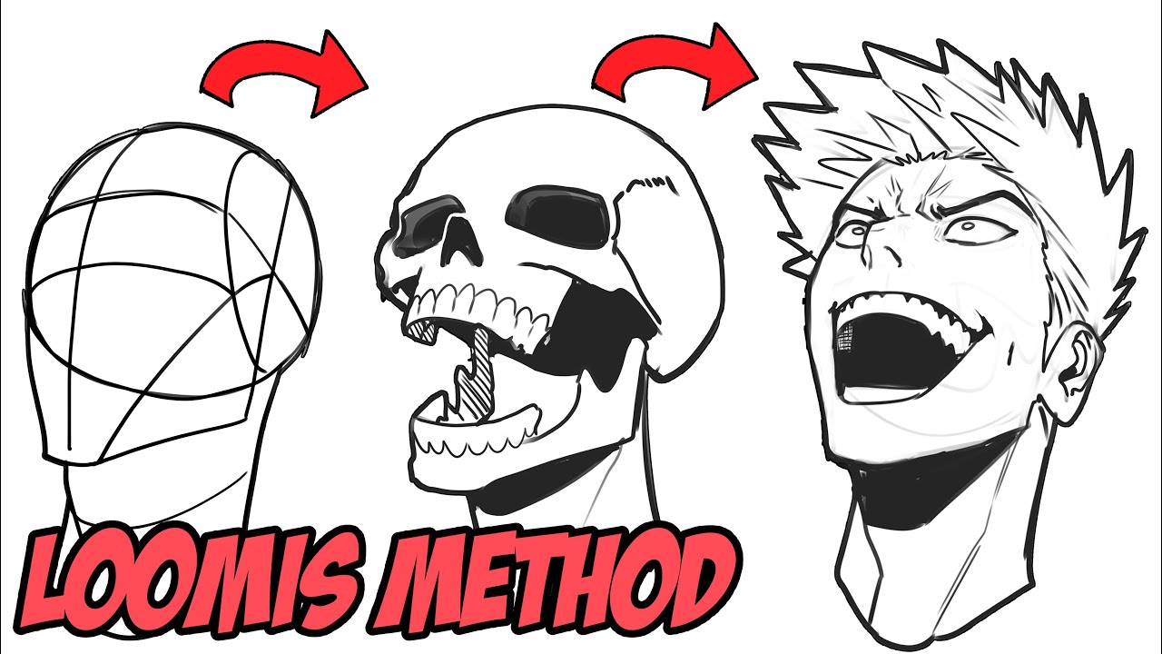 How to Draw Heads Using the Loomis Method (Beginner's Guide) - YouTube