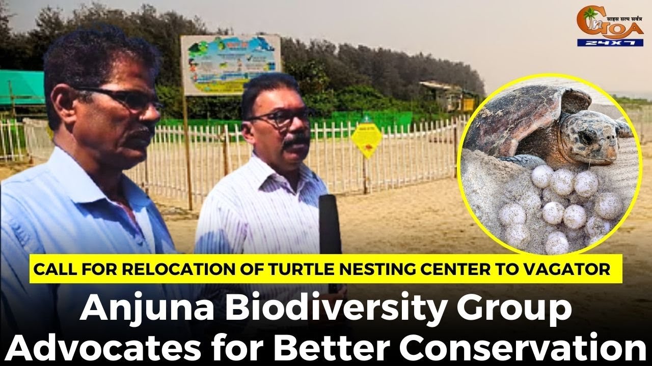 Call for Relocation of Turtle Nesting Center to Vagator. - YouTube