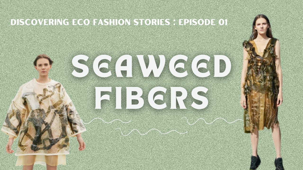 Seaweed Fibers:The Ocean's Contribution to Sustainable Textiles|Eco ...