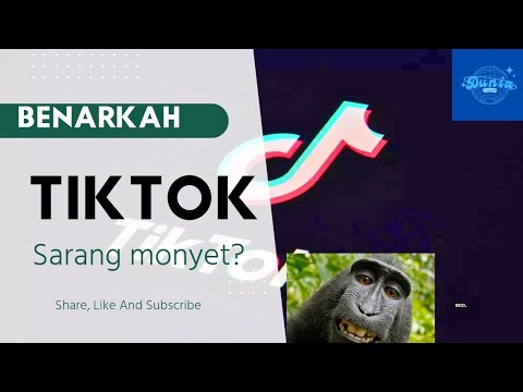 Kenapa TikTok Disebut Sarang Monyet? Ini Alasannya! #wawasanglobal # ...