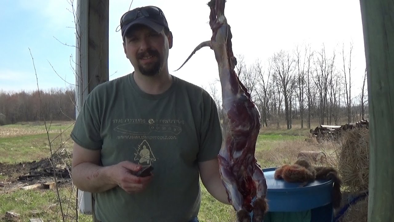 Skinning A Groundhog - YouTube