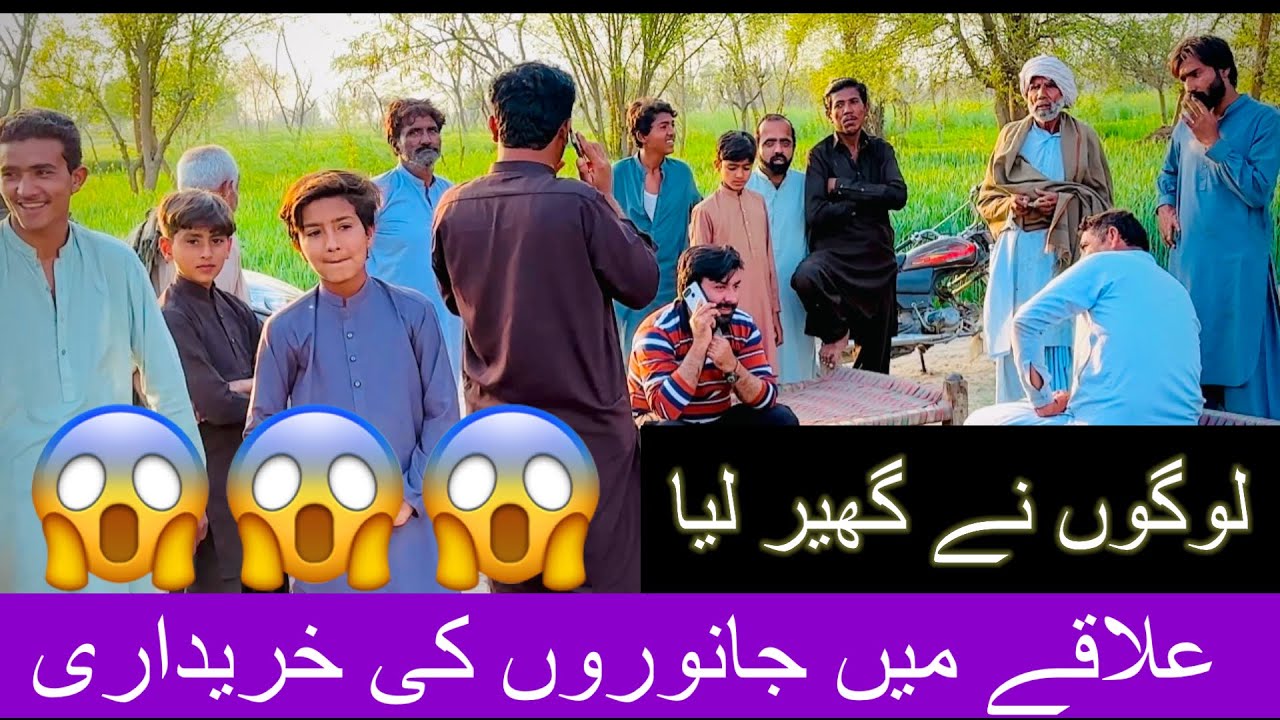 Animal Purchase in Village | علاقہ سے جانوروں کی خریداری | Dairy ...