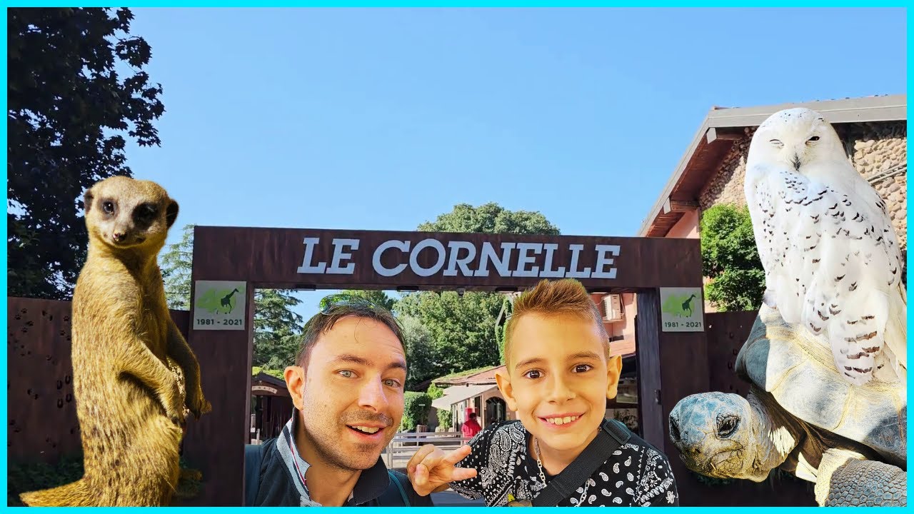 Parco faunistico LE CORNELLE A BERGAMO 7 AGOSTO 2023 - andiamo a ...