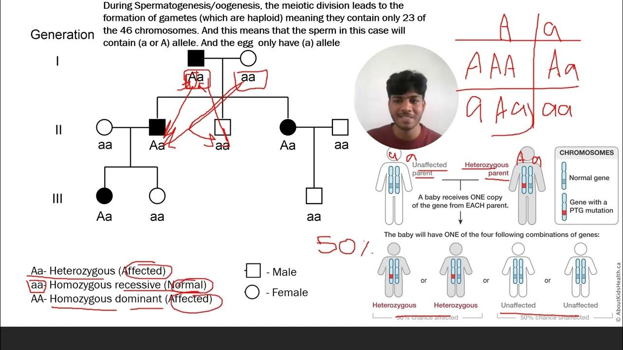 Inherited Thrombophilia, Pedigree Analysis and Overview on Genetic code and Mutations - YouTube