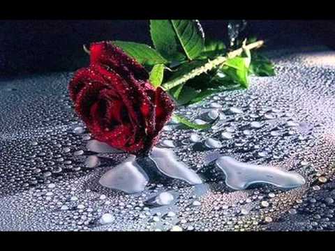 ECRİN TALUK-SİLİNMİŞ HARFİM BENİM(AqLaYaN1YuReKKK)