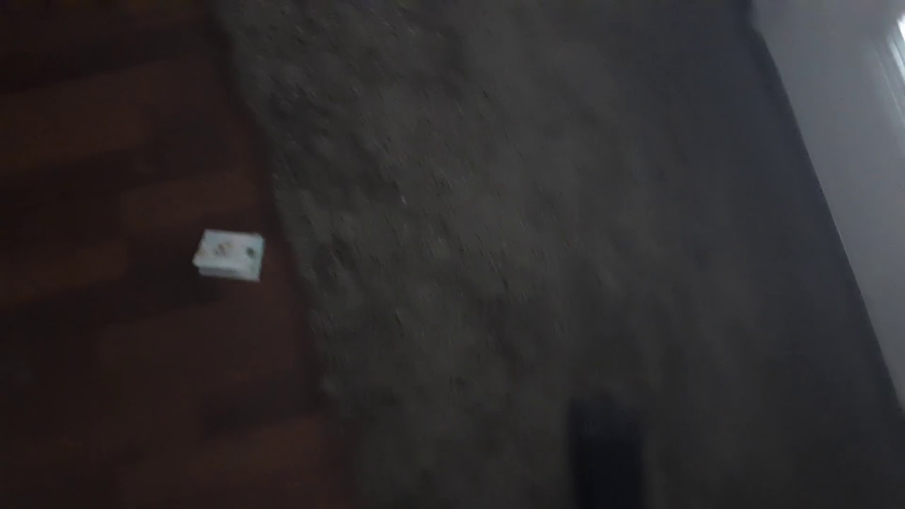 Mickey Mouse Highway Lionsgate Warner Bros Pictures - YouTube