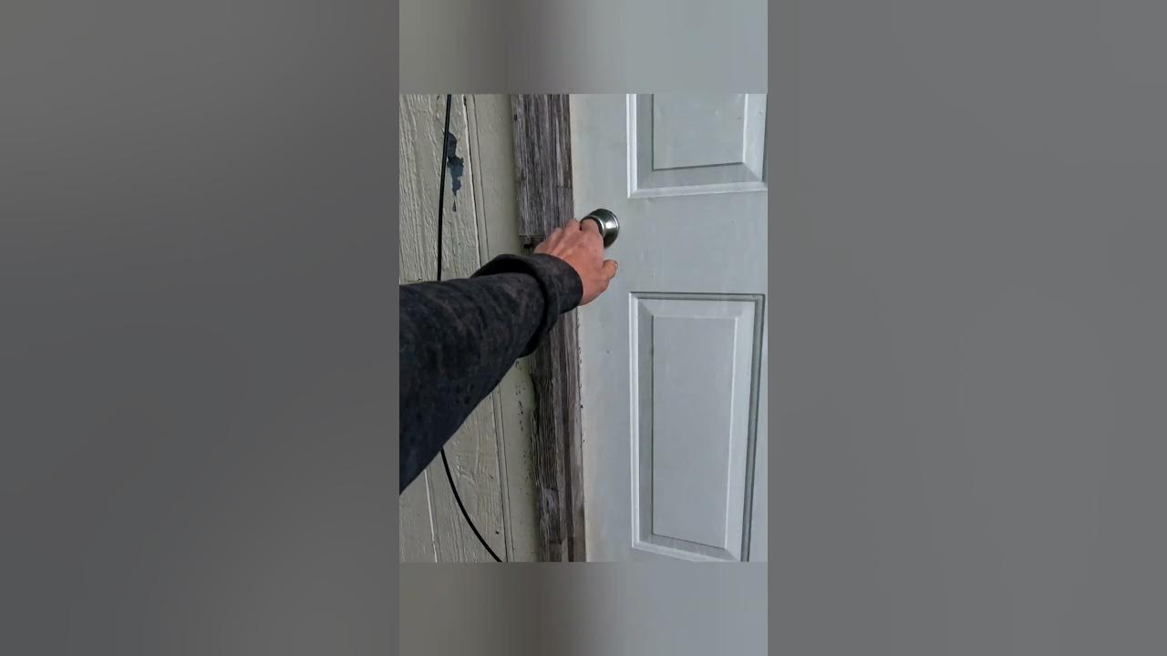 rusted trailers overtaken by vines, and silence echoing through empty ...