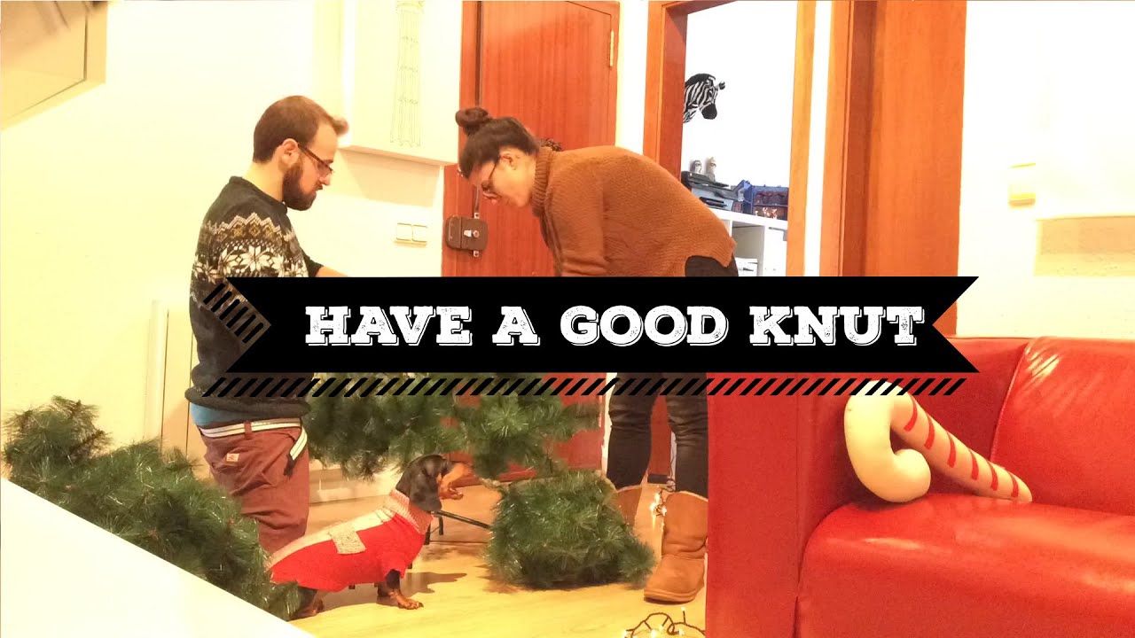 What is the KNUT'? | Celebrating KNUT's day - YouTube