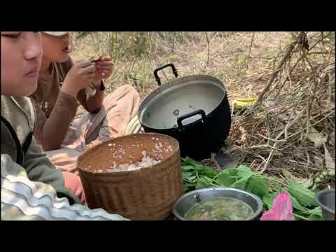 Mus luaj teb quav nroj cog pob kws - YouTube