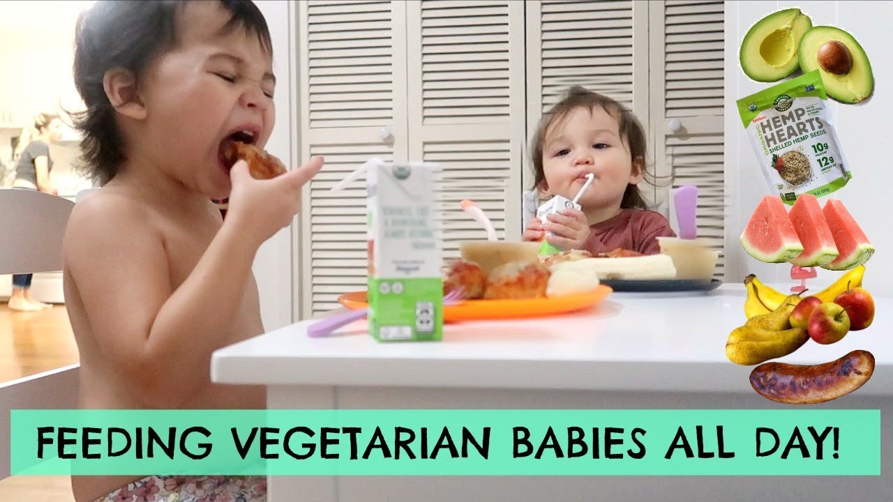 WHAT MY VEGETARIAN TODDLER AND THREE YEAR OLD EATS IN A DAY YouTube what-my-vegetarian-toddler-and-three-year-old-eats-in-a-day-youtube