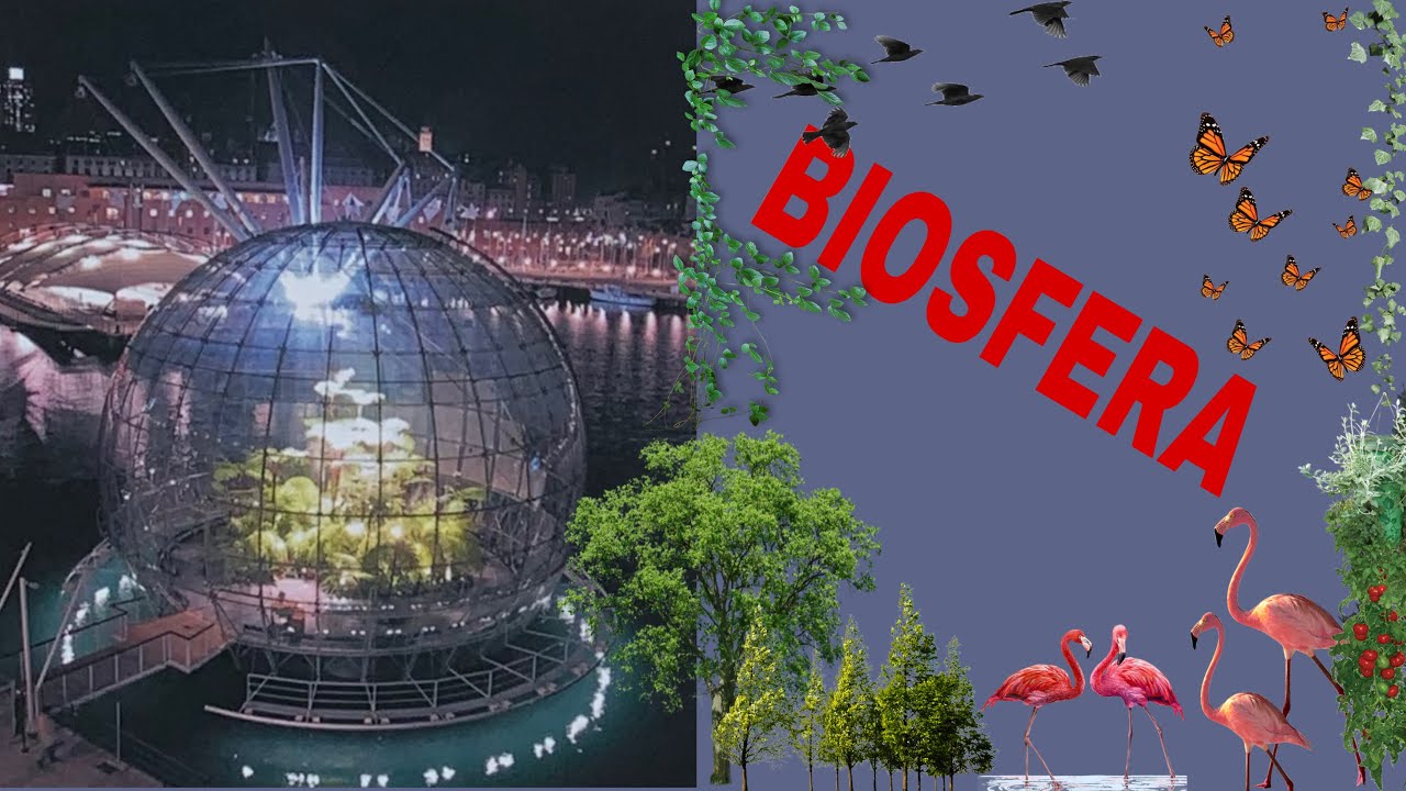 LA BIOSFERA DI GENOVA cosa c’è dentro - YouTube