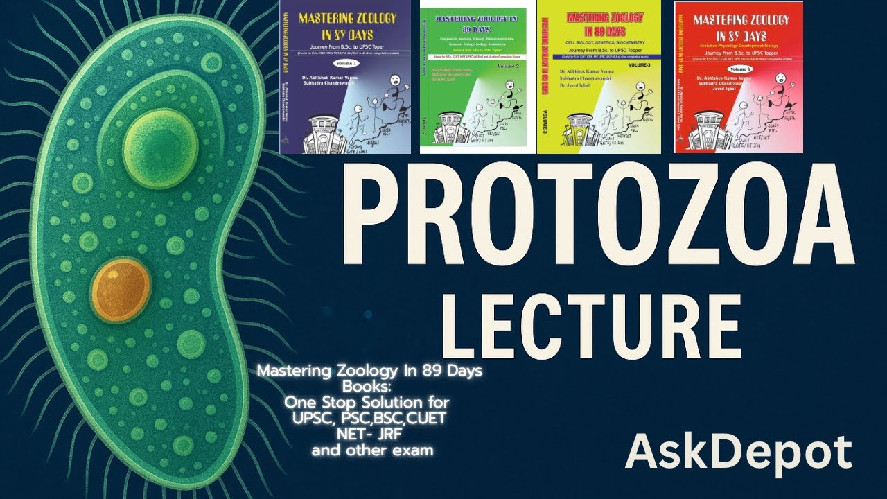 Lecture 3: Protozoan:Classification ,reproduction,nutrition to ...