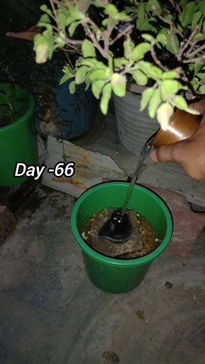 Mini vlog - Day 66 - YouTube