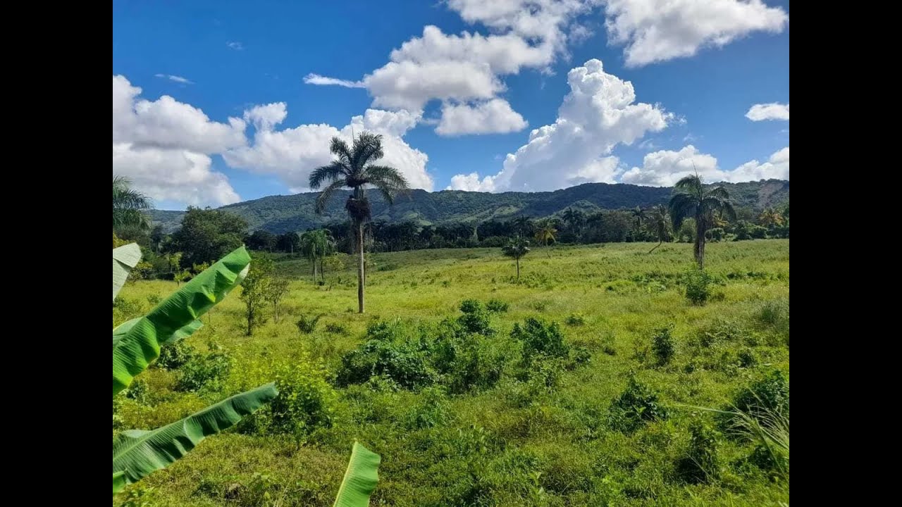 Finca con Río y Cerca de La Capital en Venta en Republica Dominicana ...