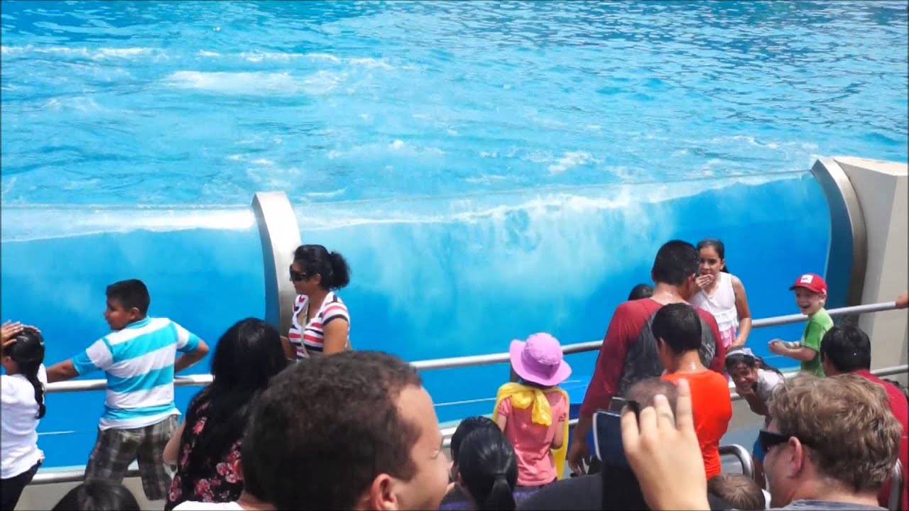 shamu splash - YouTube