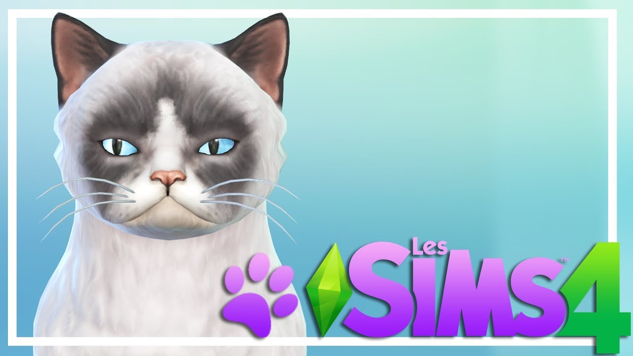 Challenge création chat : "Grumpy Cat" (Sims 4 chiens et chats) - YouTube