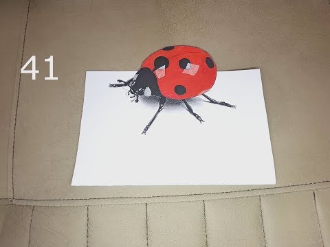 3 BOYUTLU ÇİZİM / 3D UĞUR BÖCEĞİ ÇİZİMİ NASIL YAPILIR (HOW TO 3D LADYBUG DRAWING) #41