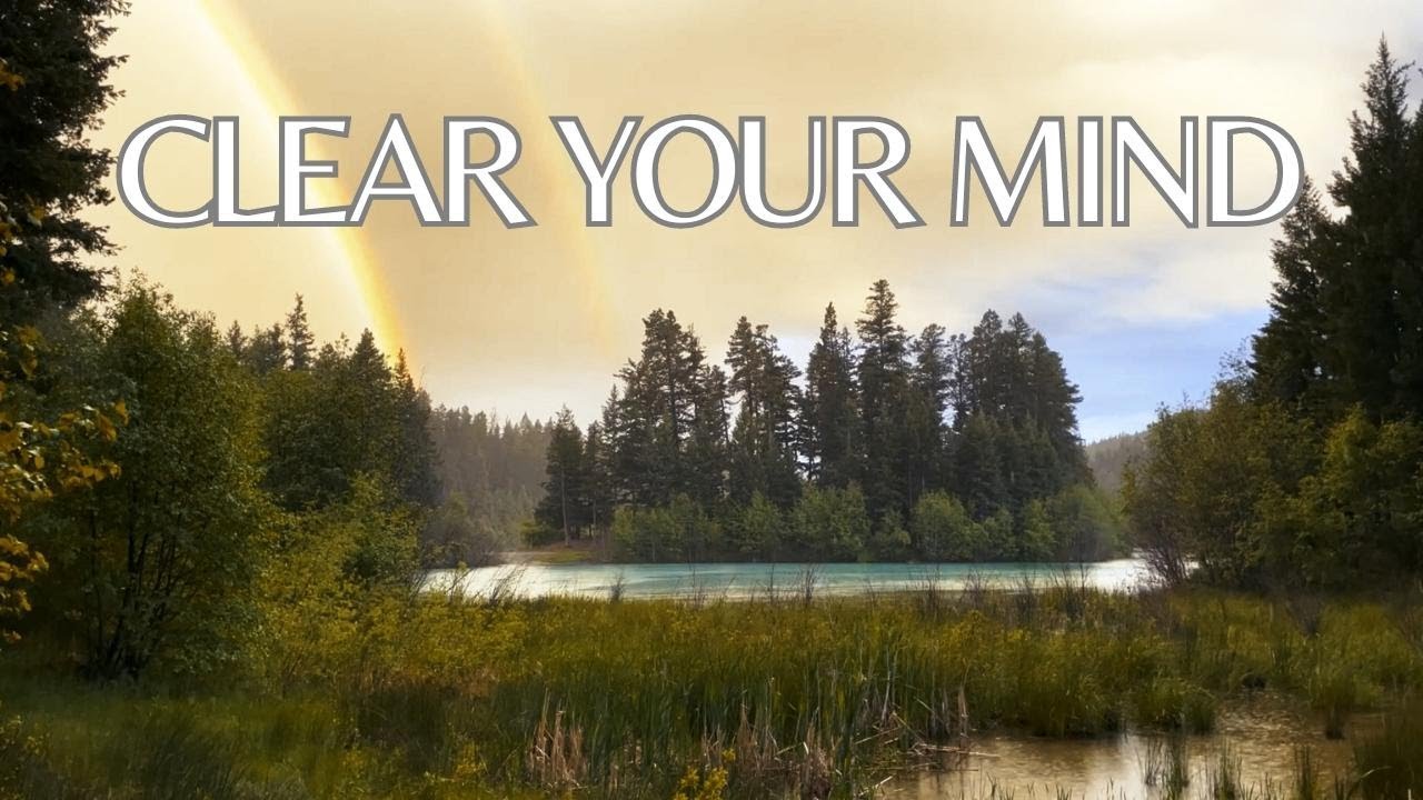 Clear Your Mind: 5 Minutes of Relaxing Nature Sounds & Sights - YouTube