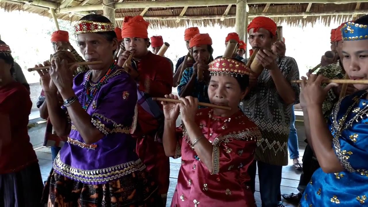 Kulawi, desa toro - YouTube